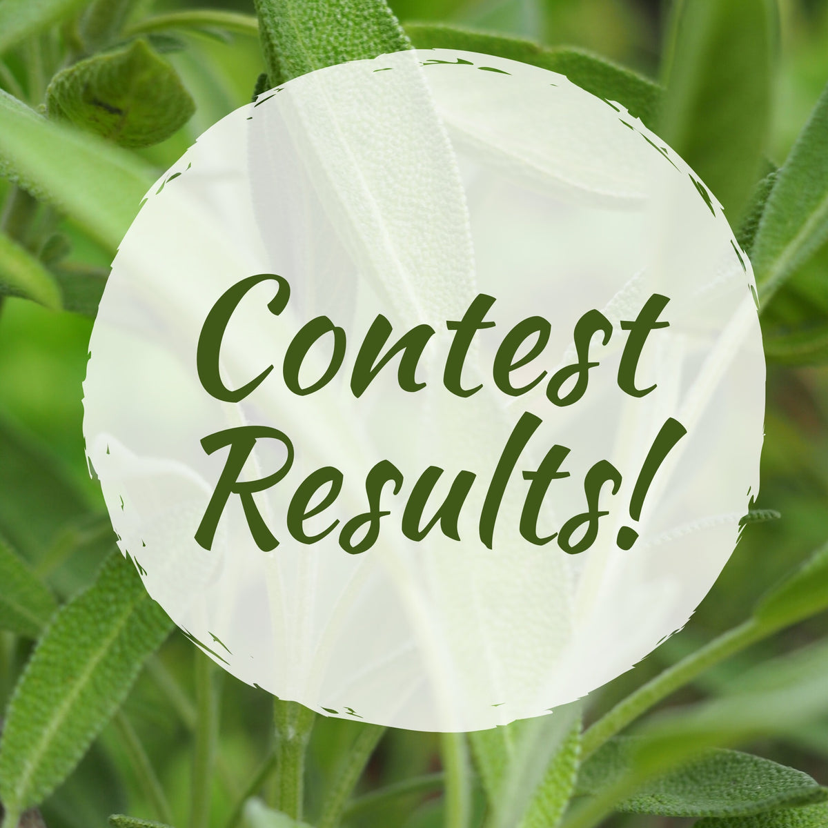 Guessing Contest Results! – Majestic Mountain Sage, Inc.